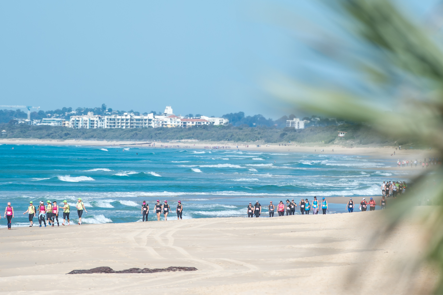 Charity Walks Brisbane | Charity Fundraising | Coastrek